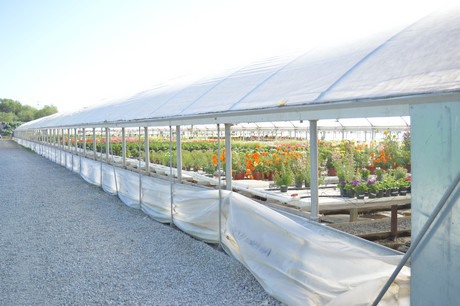 This was on display at Speedling during CAST 2017