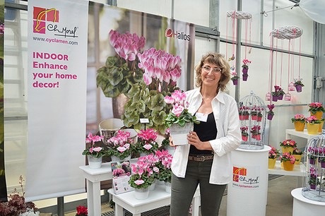 Novelties form sea of colour at Ball during CAST