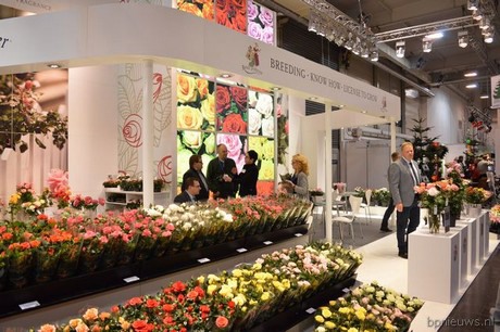 New red Infinity rose in the spotlight at Roses Forever booth