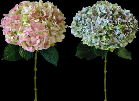 "New grades and colors open doors to new markets"