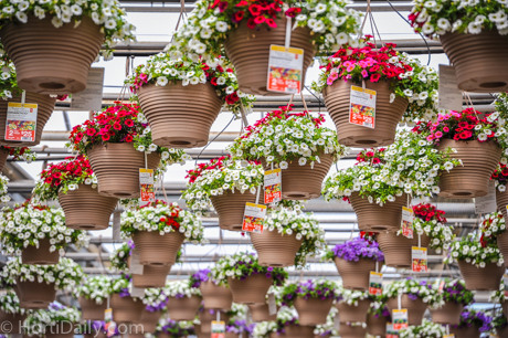 Fully automated hanging basket system improves production efficiency