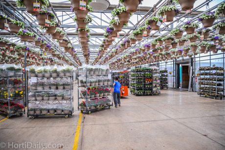 Fully automated hanging basket system improves production efficiency