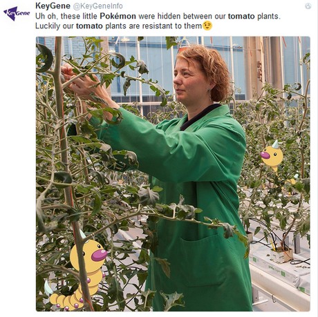 Pokemon tears into greenhouse industry
