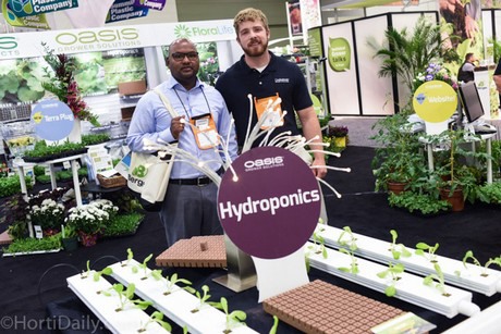 Oasis introduces plugs with friendly bonding technology