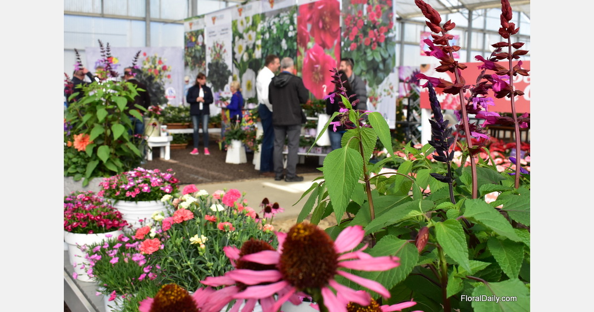 US: CAST becomes the California Summer Trials starting in 2021